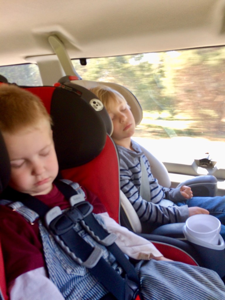 Straddle Parenting In Real Time | To Sow A Seed