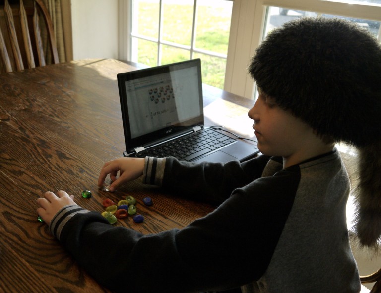 Computer-based Math Lessons… With Room For Exploration! - To Sow A Seed